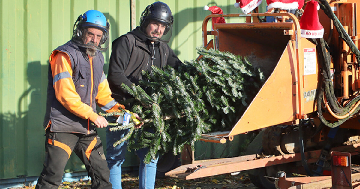 Contour Landscapes are ready to shred your tree! - Farleigh Hospice