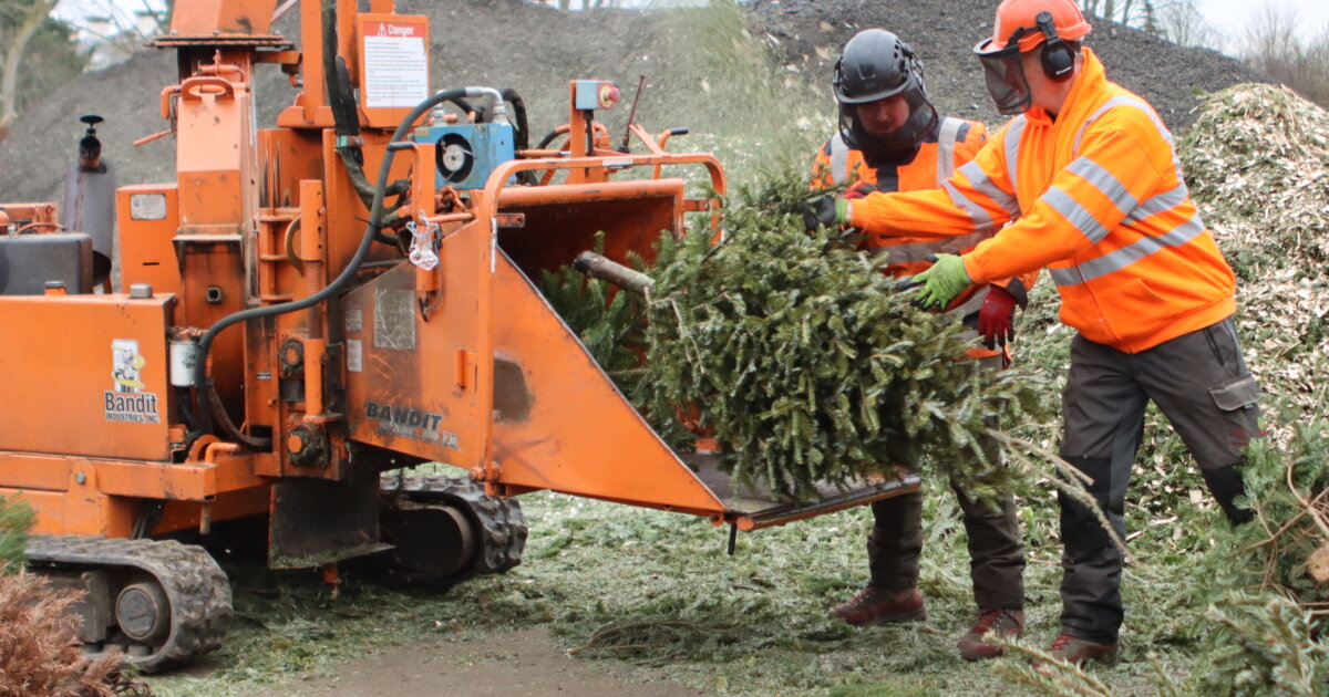 CO5 & CO6 Collection Postcodes - Farleigh Hospice