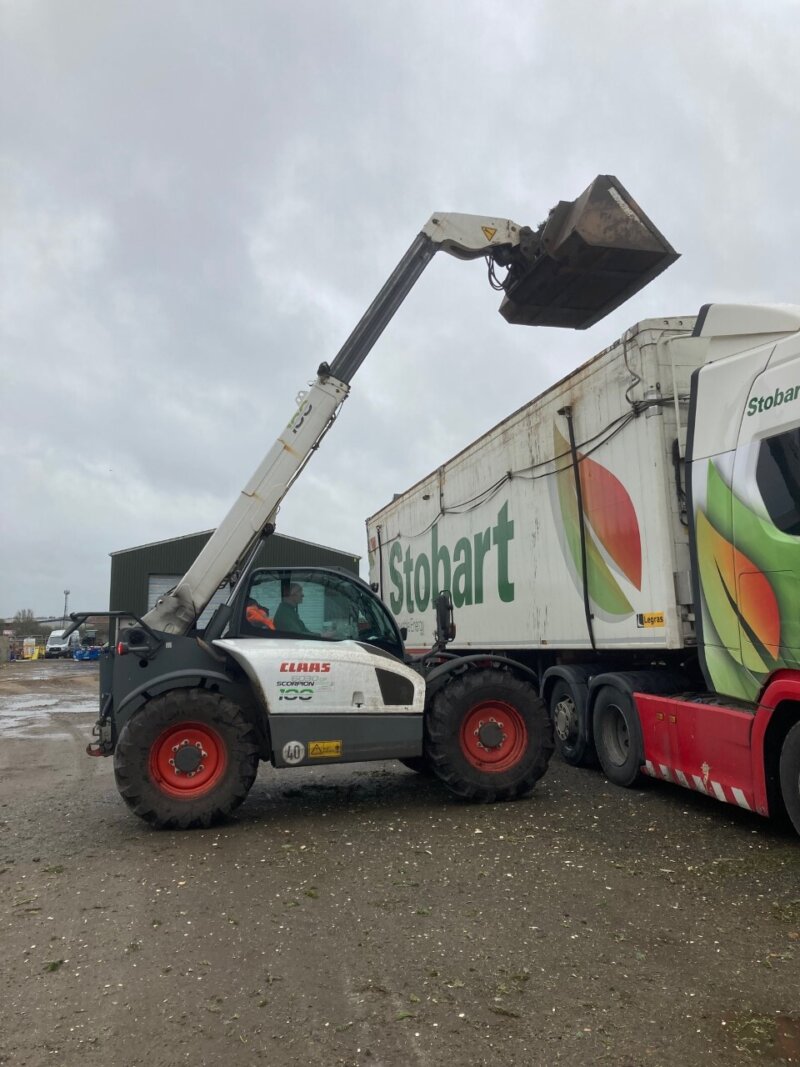Christmas Tree Recycling scheme a huge success - Farleigh Hospice